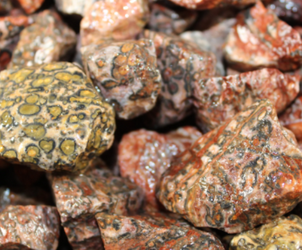 Leopard Skin Jasper | Tumbling Rough Rocks from Mexico | 1" - 2" Raw ...