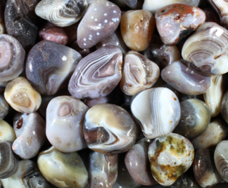 Gray Botswana Agate | Tumbling Rough Rocks from South Africa | Raw ...