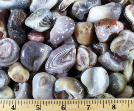 Gray Botswana Agate | Tumbling Rough Rocks from South Africa | Raw ...