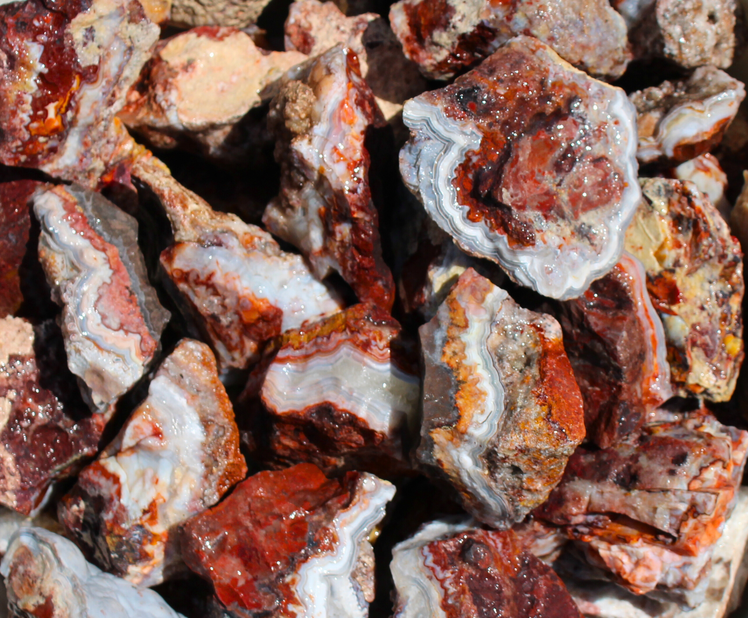 Mexican Lace Agate | Tumbling Rough – ROCK AND TUMBLE