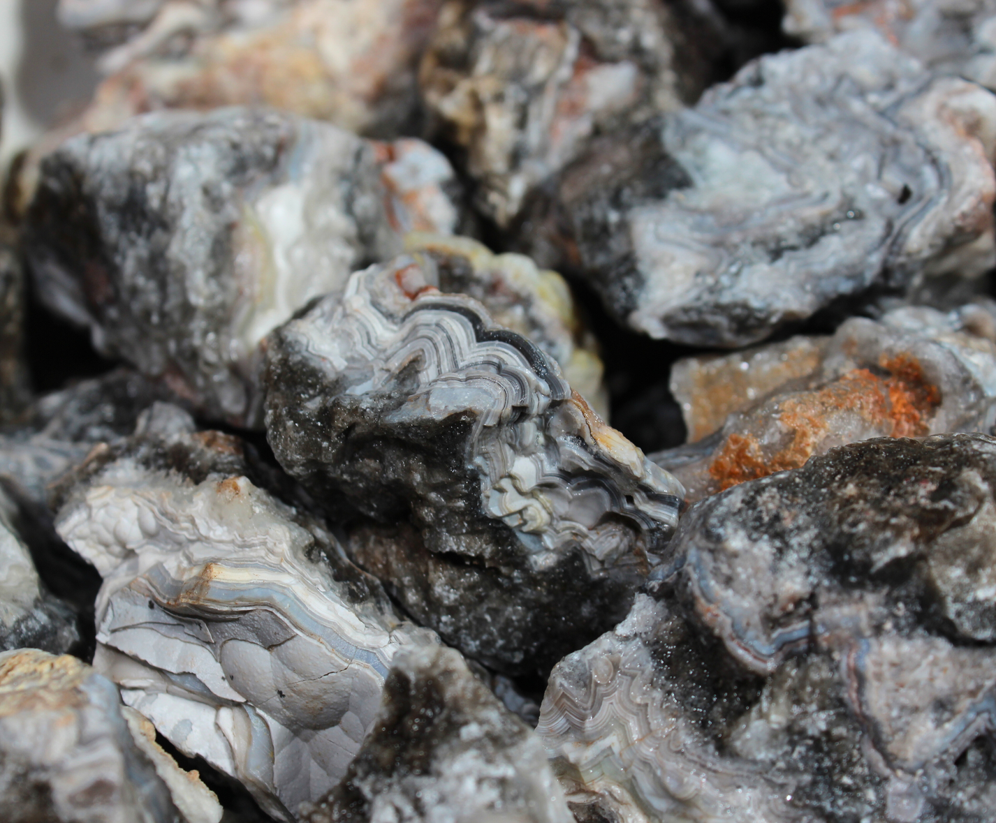 Tuxedo Lace Agate | Tumbling Rough – ROCK AND TUMBLE