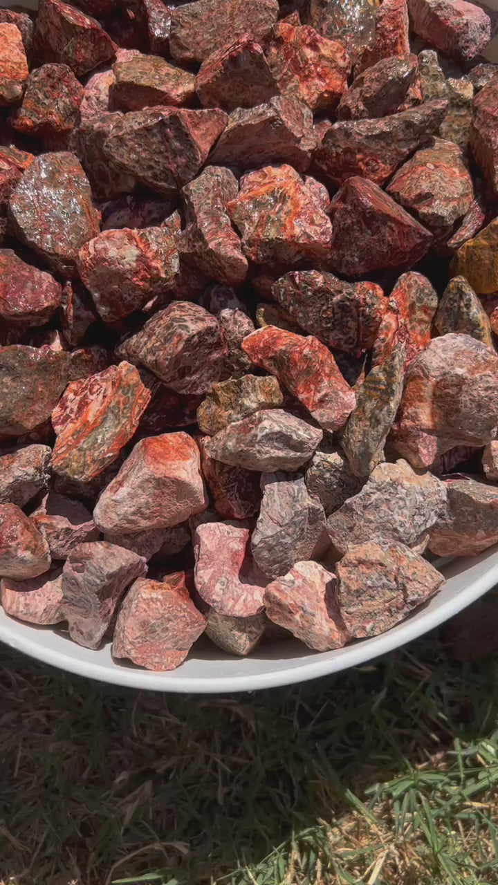 Leopard Skin Jasper | Tumbling Rough Rocks from Mexico | 1" - 2" Raw ...